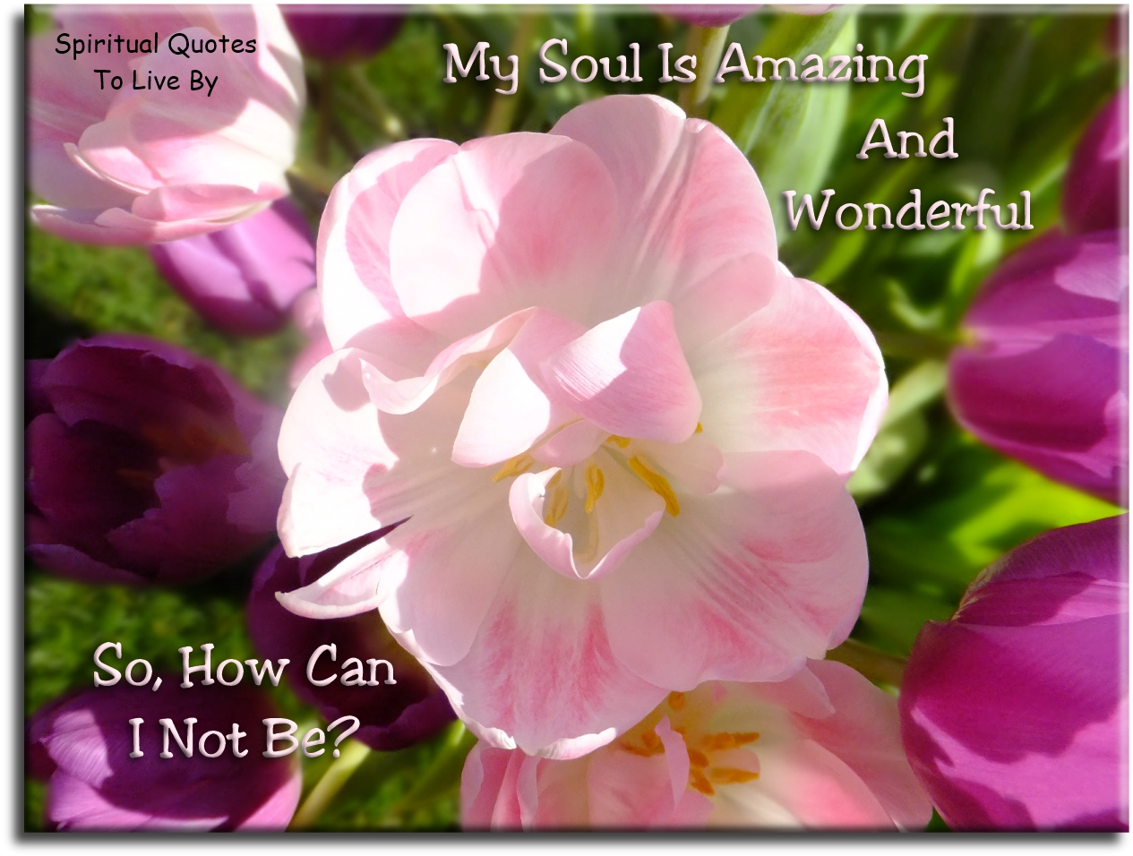 Soul Sayings | Spiritual Quotes To Live By